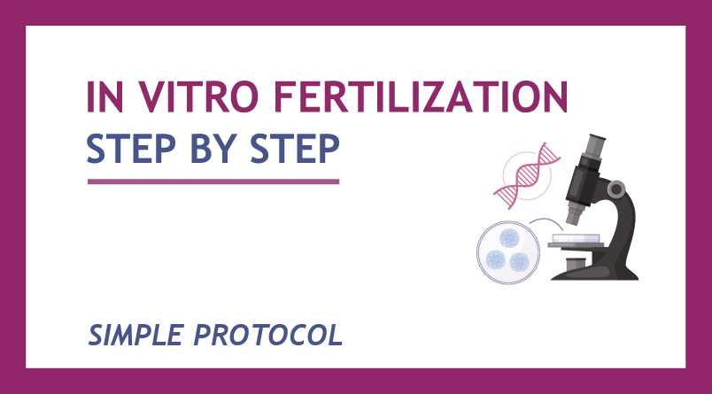 IVF- Simple Protocol | Fertility Center of Miami